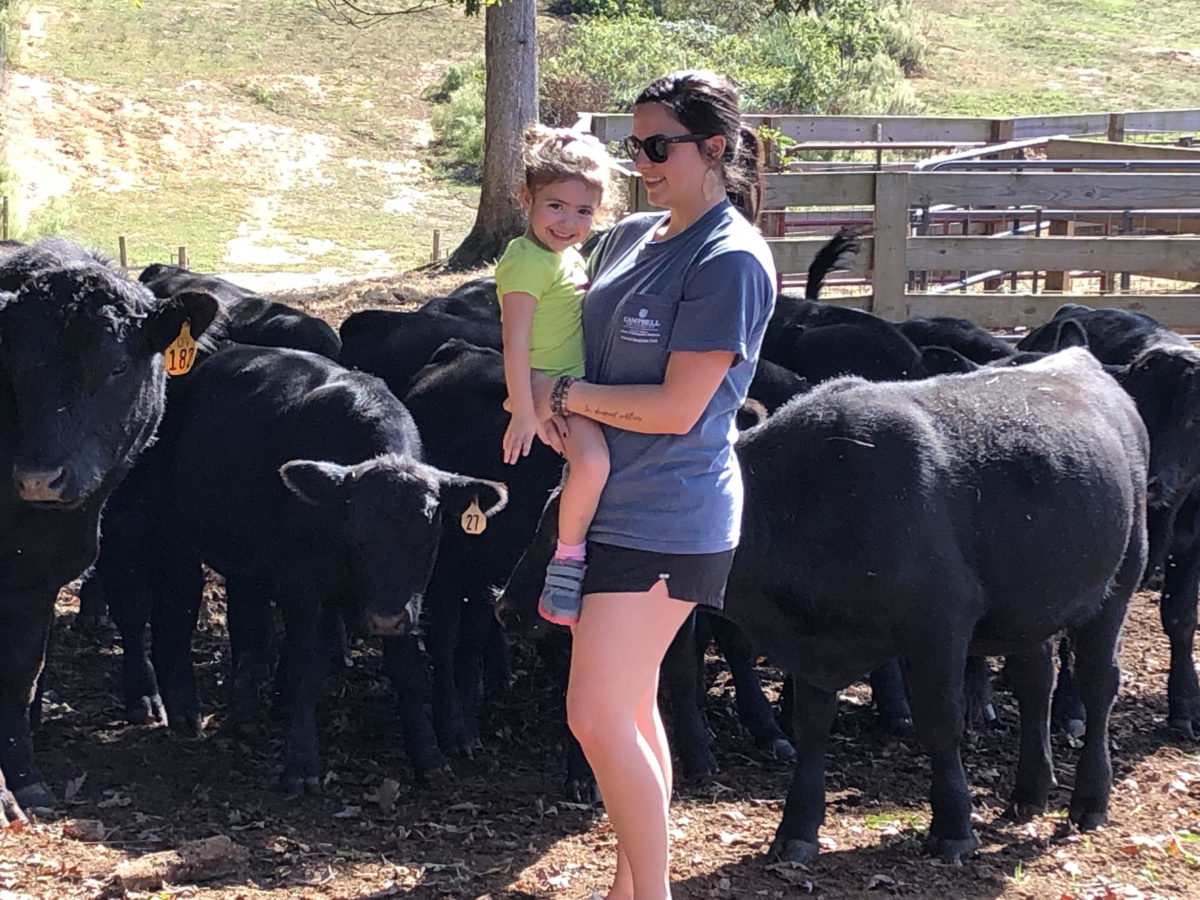 Photo Gallery – Clearbrook Angus Farm